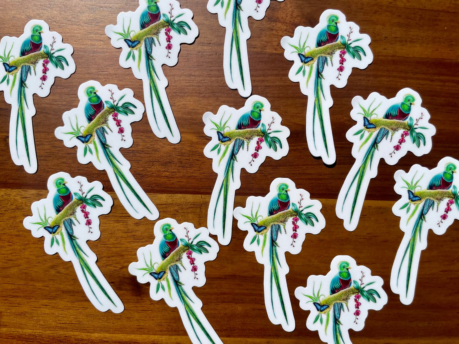 Quetzal Sticker, Quetzal, Guatemala Sticker, Guatemalan, Bird Sticker ...