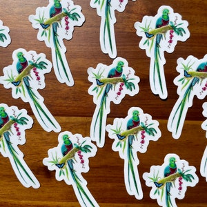 Quetzal Sticker, Quetzal, Guatemala Sticker, Guatemalan, Bird Sticker ...