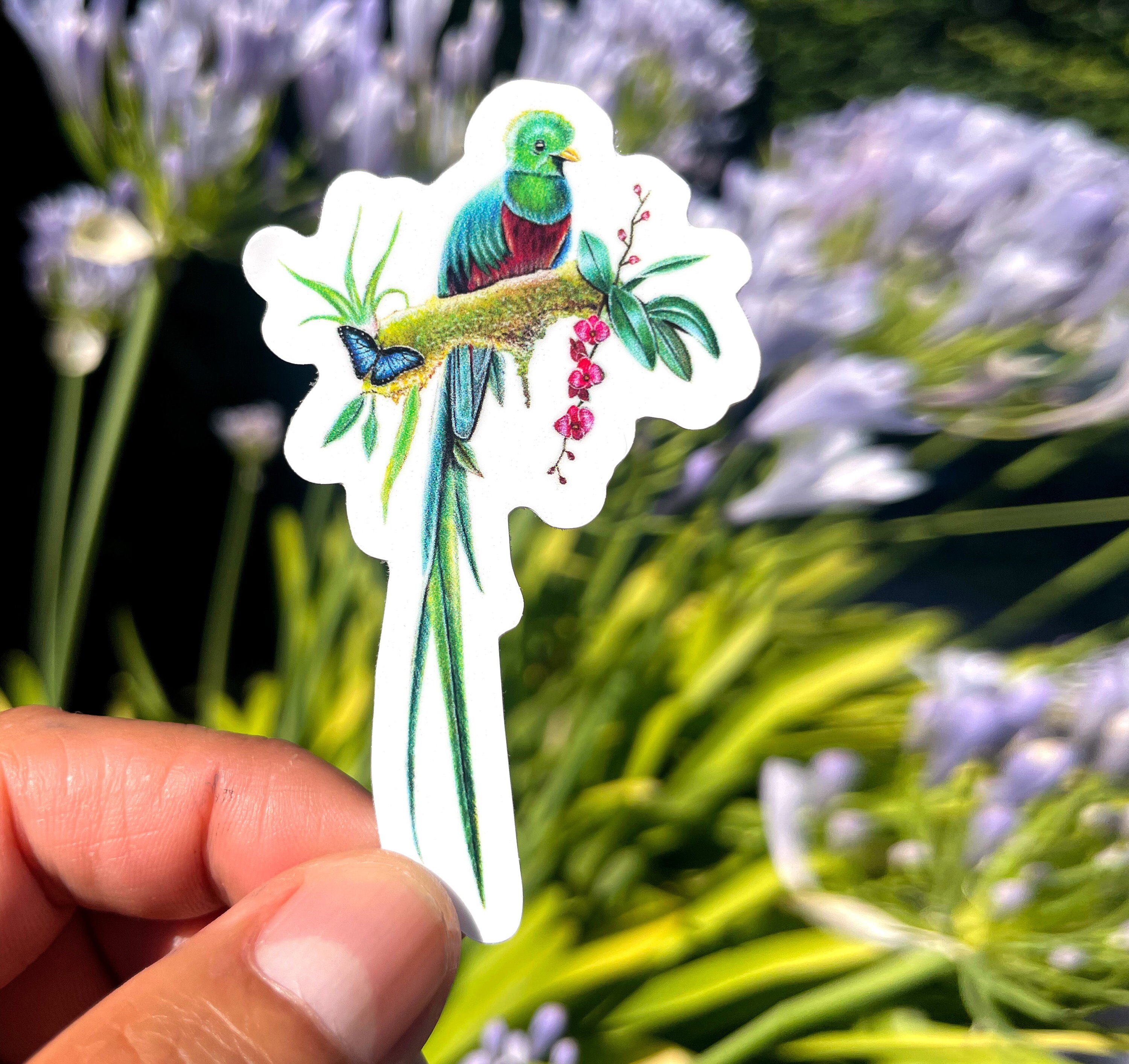 Quetzal Sticker, Quetzal, Guatemala Sticker, Guatemalan, Bird Sticker ...