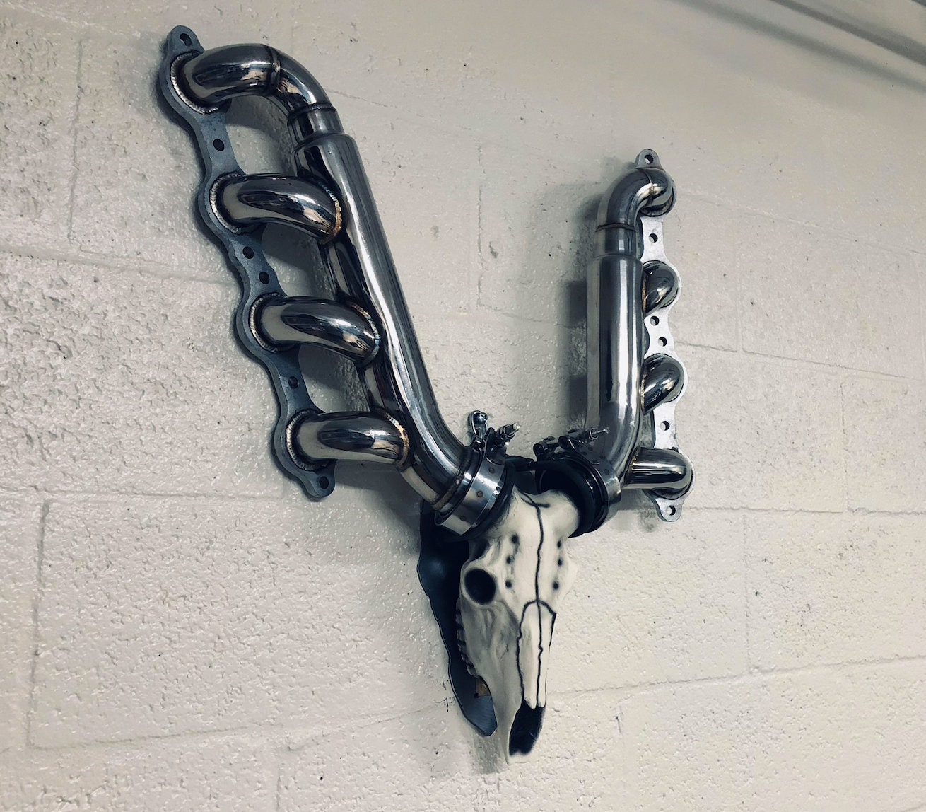 V8 Header Deer V-band Trophy 0305 - Etsy