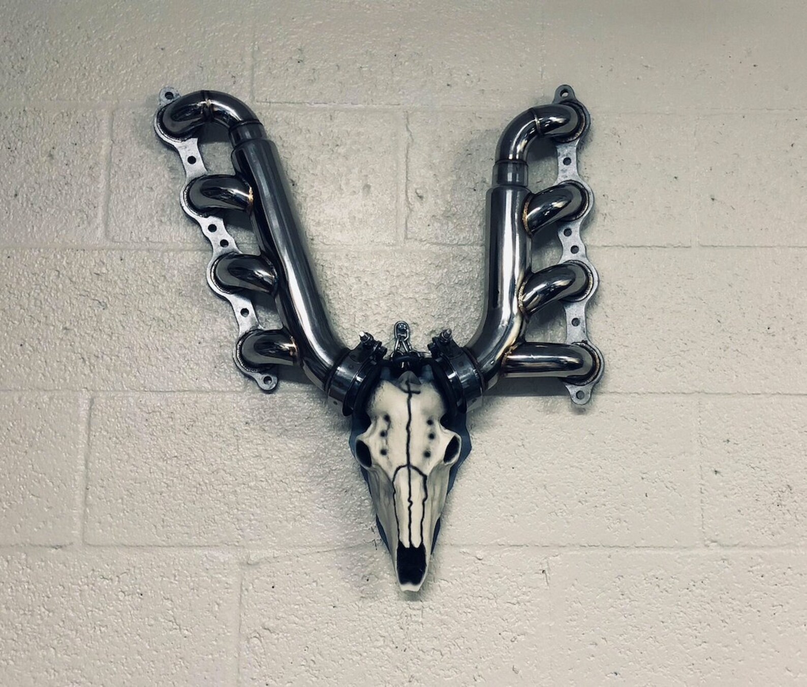 V8 Header Deer V-band Trophy 0305 - Etsy
