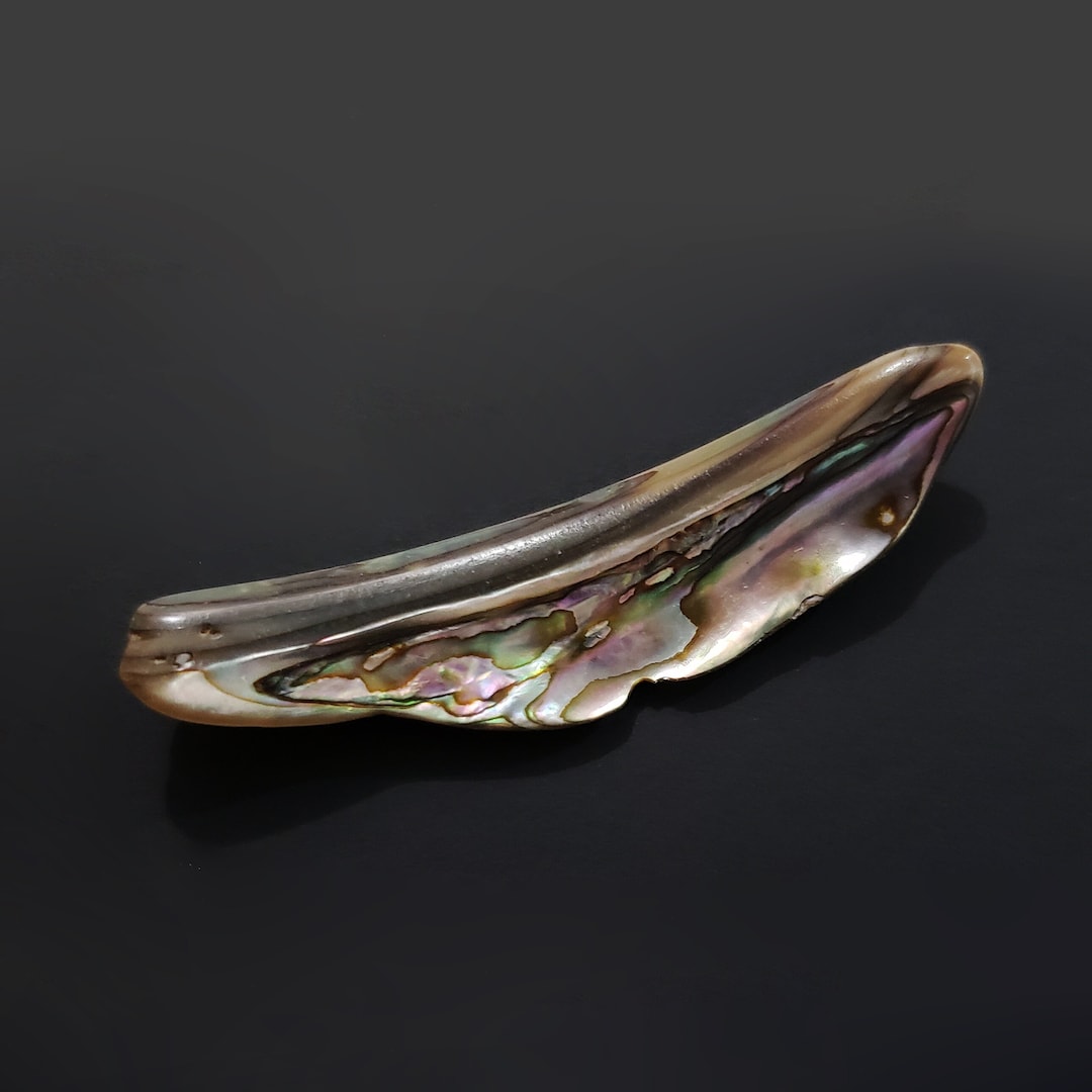Abalone Shell Pieces Mother-of-pearl Pearlescent Pastel Rainbow Tumble ...