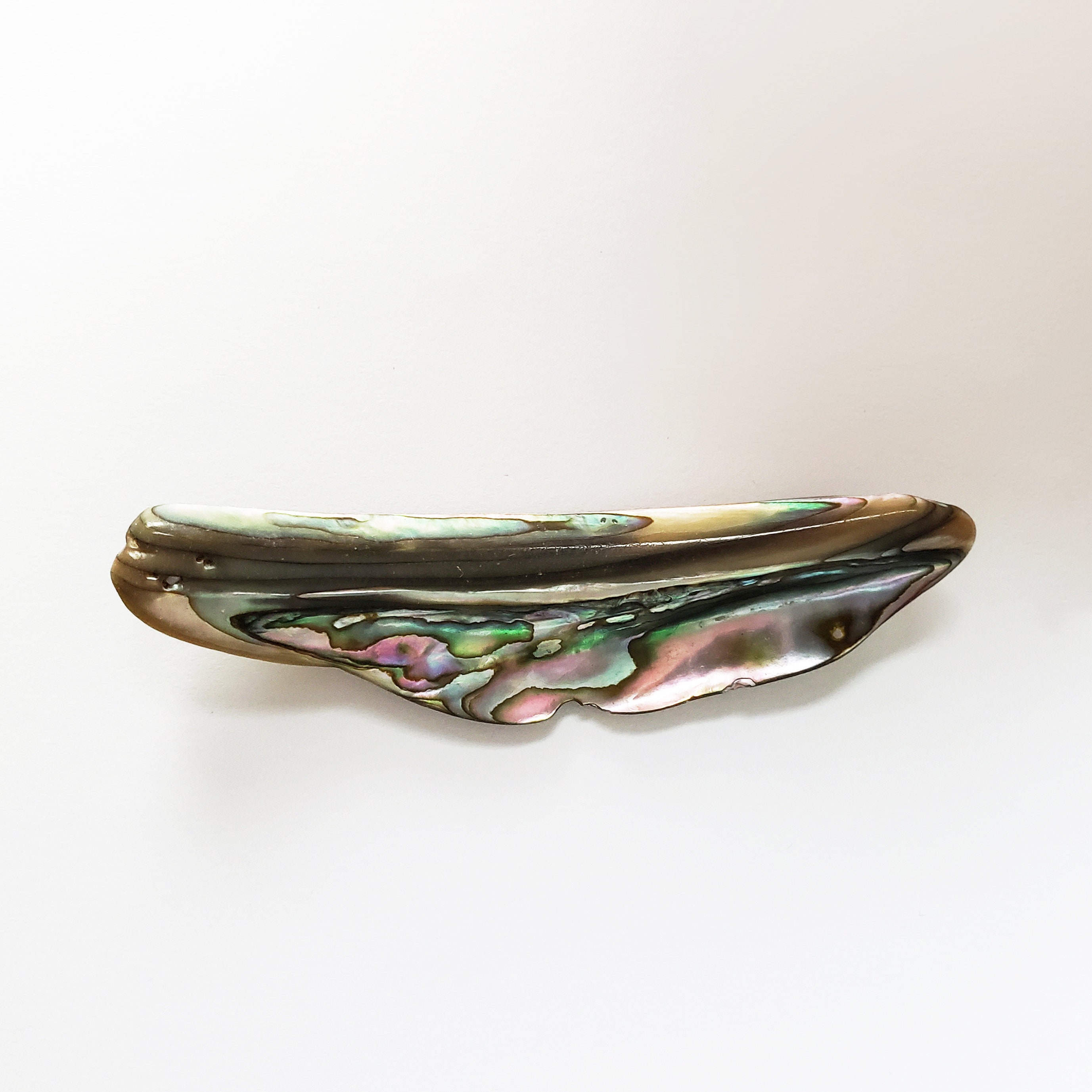 Abalone Shell Pieces Mother-of-pearl Pearlescent Pastel - Etsy