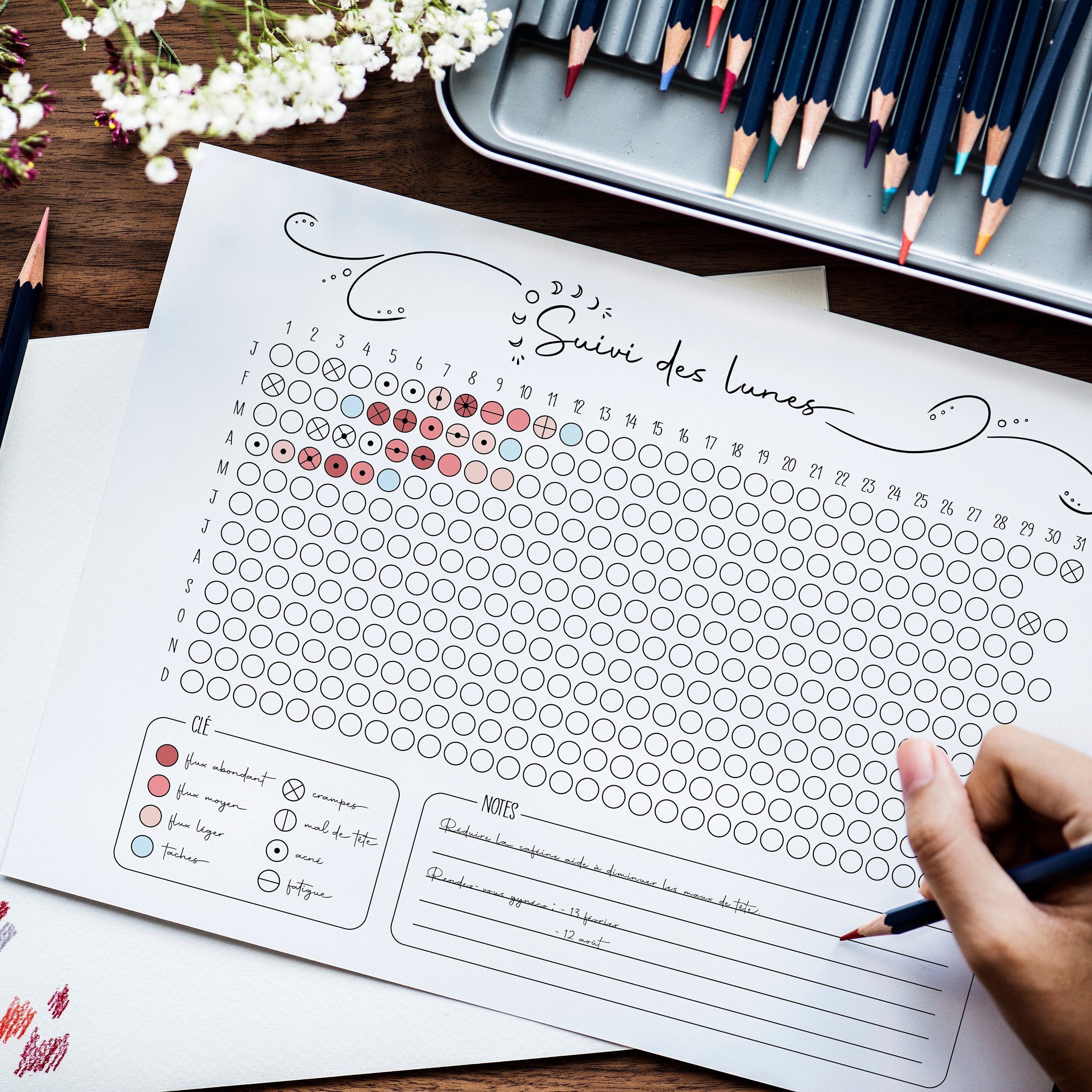 Period Planner, Monthly Cycle Tracker, Menstruation Journal, Pregnancy ...