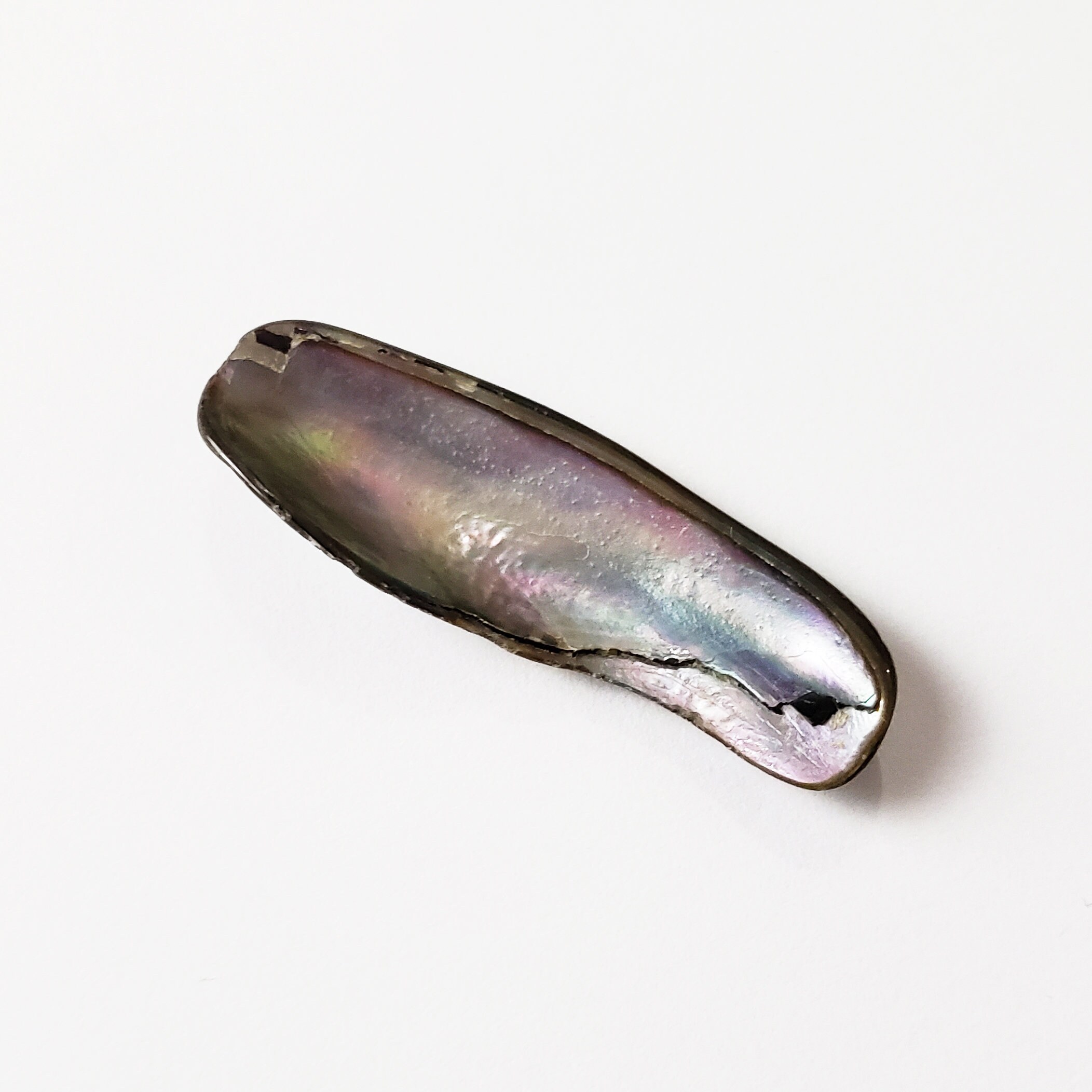 Abalone Shell Pieces Mother-of-pearl Pearlescent Pastel - Etsy