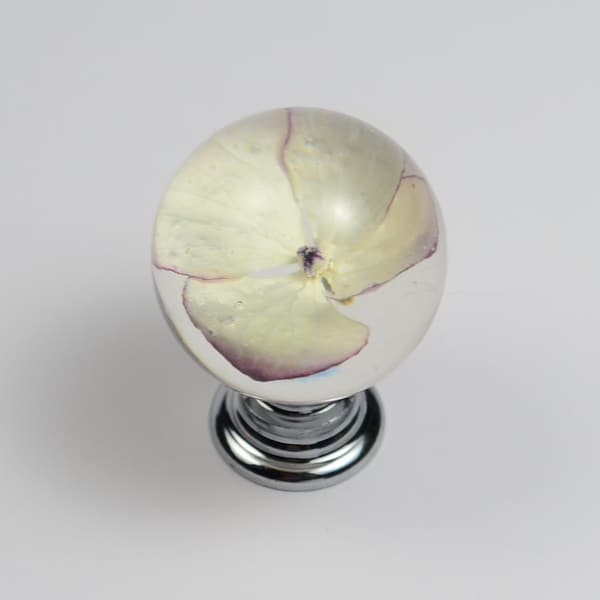 Draw Knobs - Etsy UK