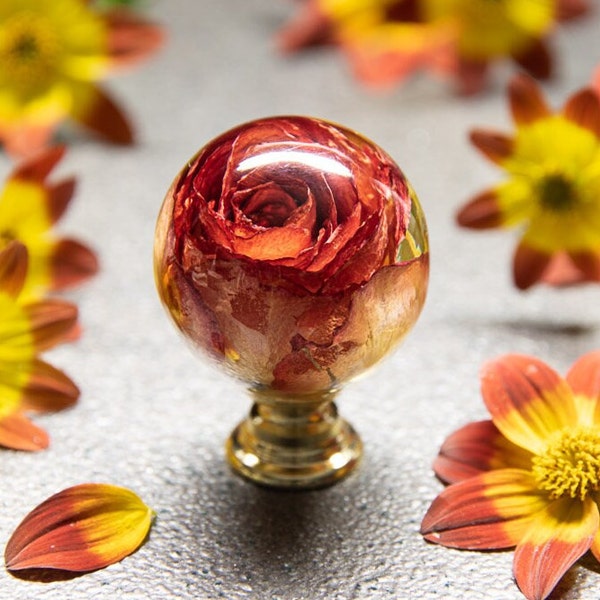 Cupboard Door Knobs - Etsy UK