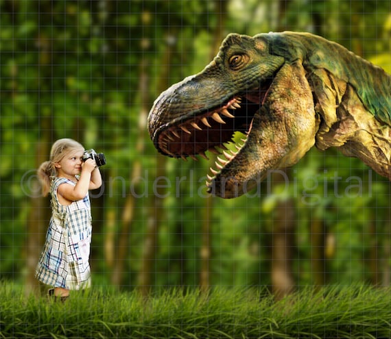 Friendly T-rex Dinosaur Digital Backdrop/background With - Etsy