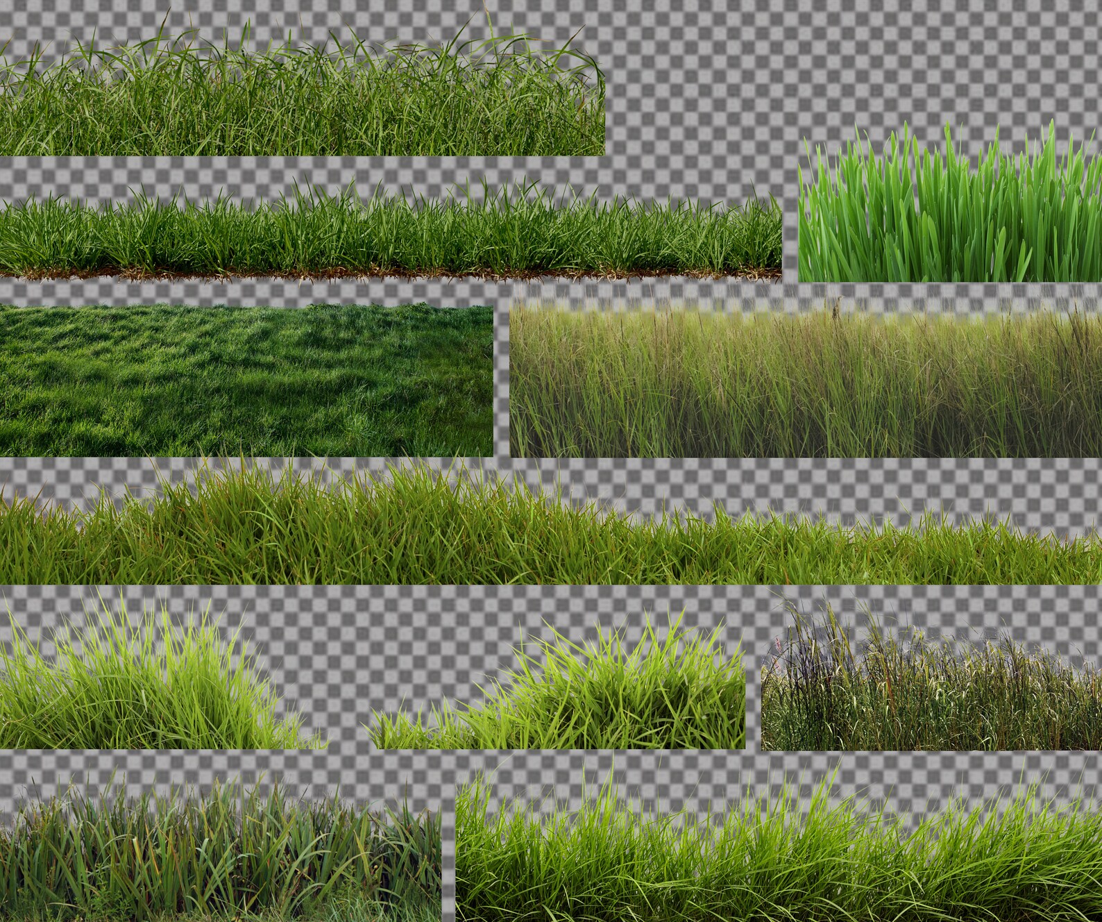 20 PNG Grass Overlays, Transparent Background, Real Grass Overlays ...