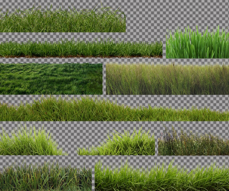 20 PNG Grass Overlays, Transparent Background, Real Grass Overlays ...