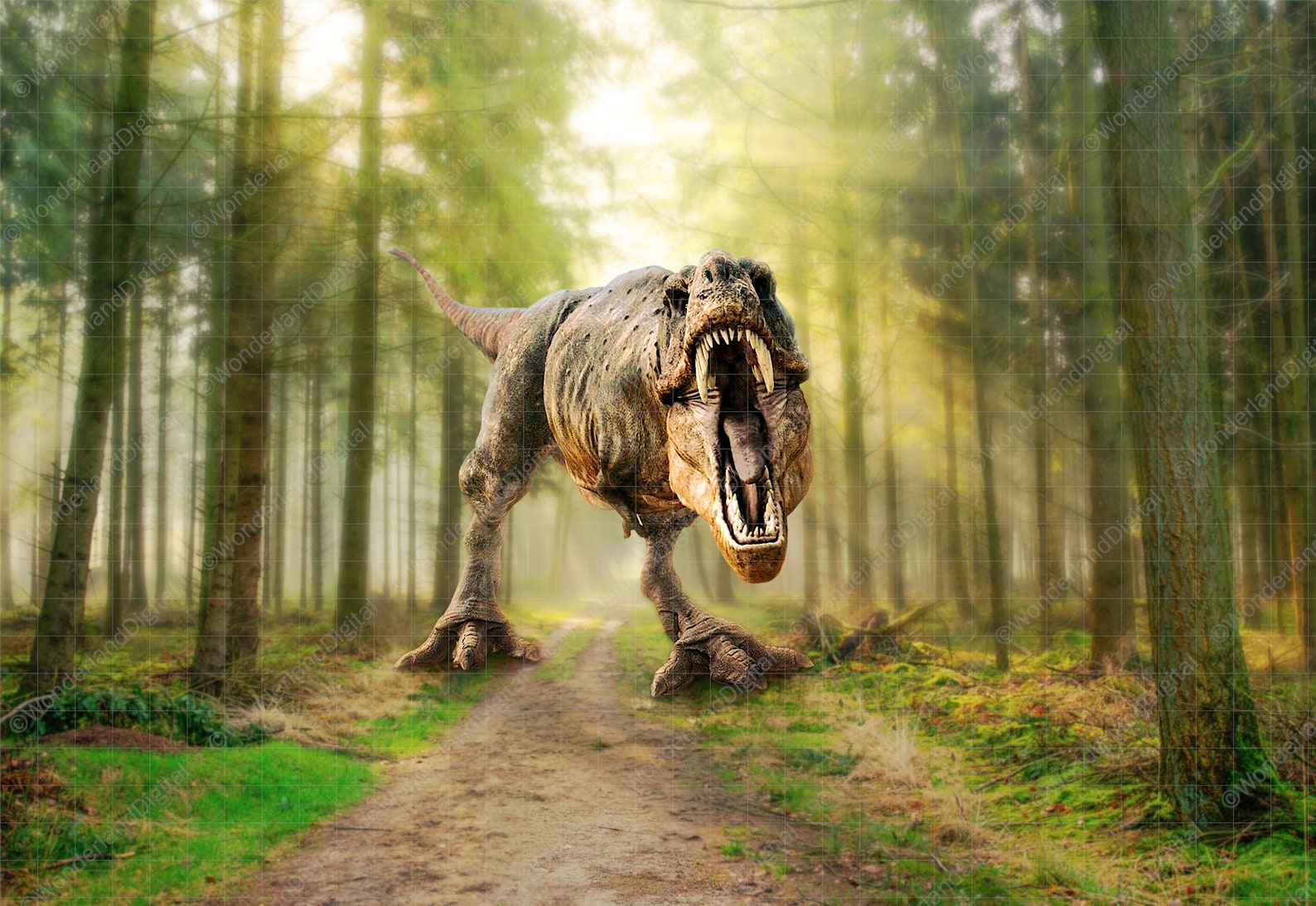 Dinosaur Digital Backdrop/background - Etsy