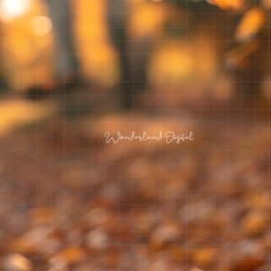 Fall Digital Backdrop, Autumn Photography Backdrop, Blurred Fall ...