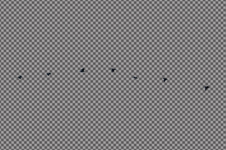 Bird Overlays Flock of Birds PNG Transparent Background - Etsy