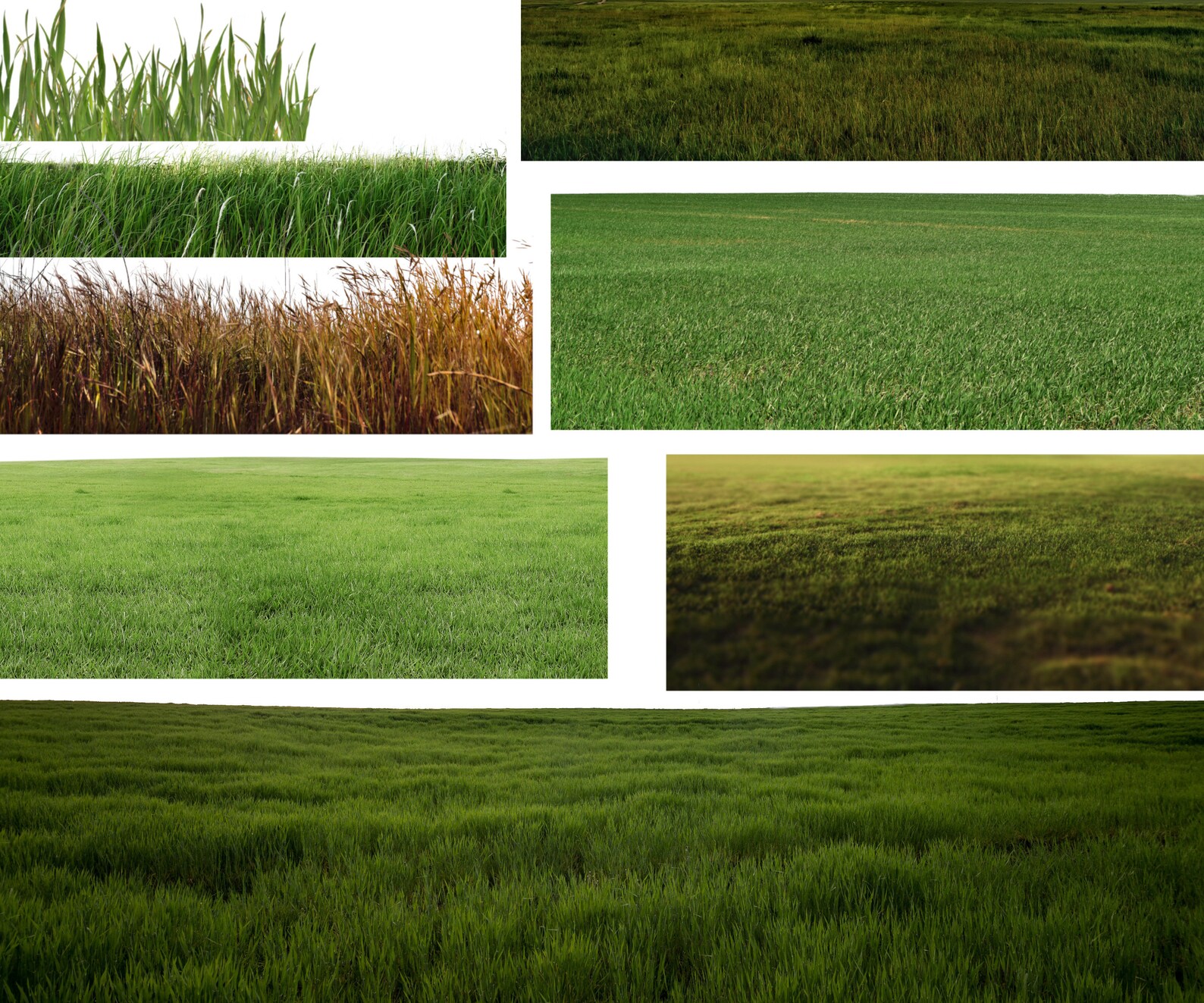 20 PNG Grass Overlays, Transparent Background, Real Grass Overlays ...