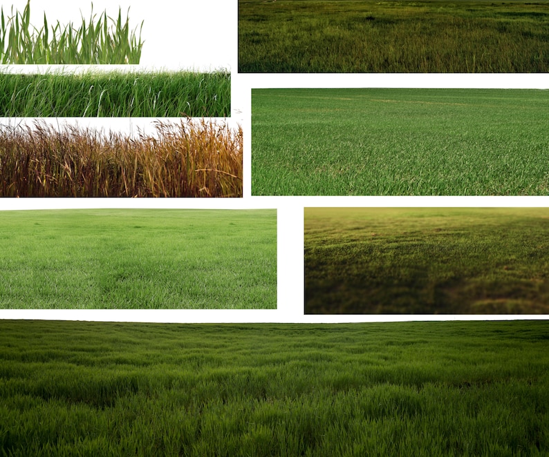 20 PNG Grass Overlays, Transparent Background, Real Grass Overlays ...