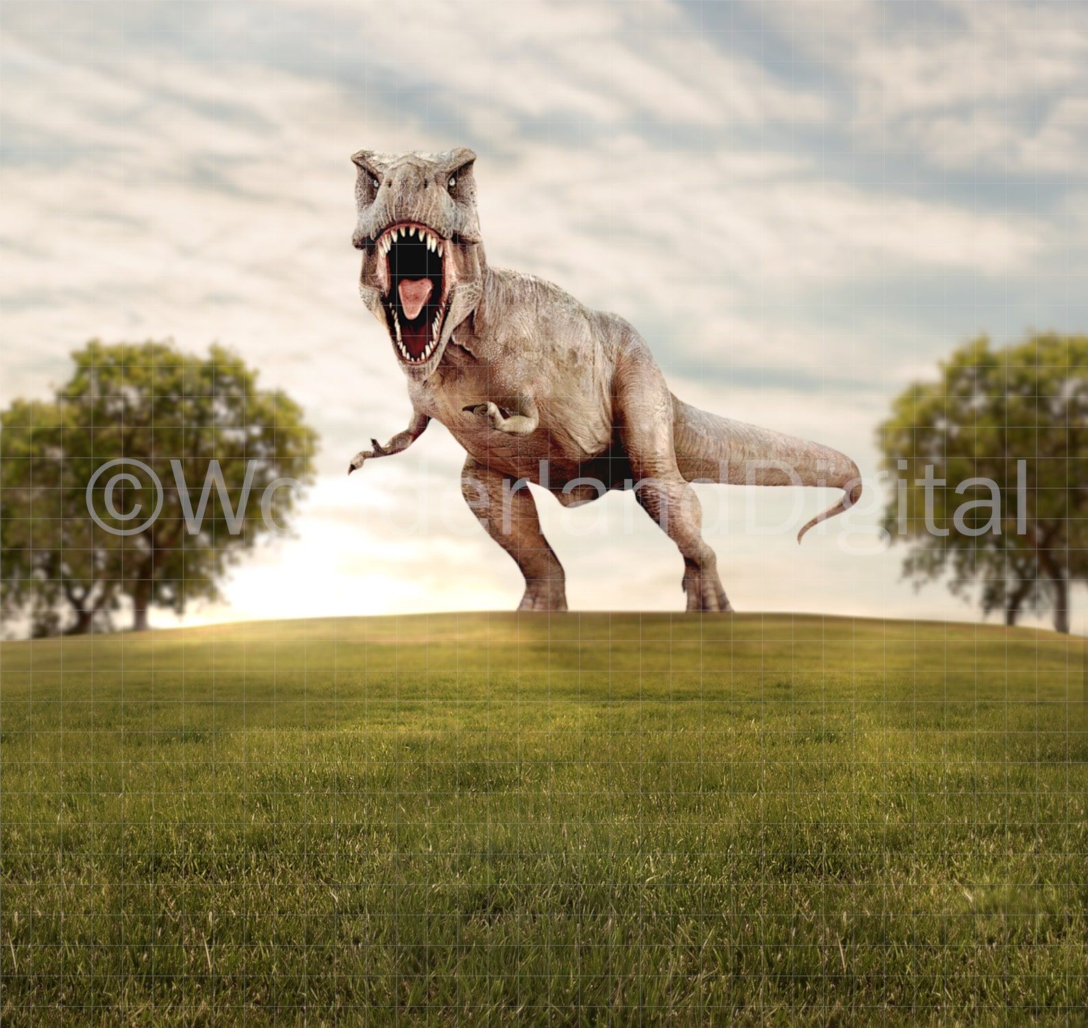 T-rex Dinosaur Digital Backdrop/background - Etsy