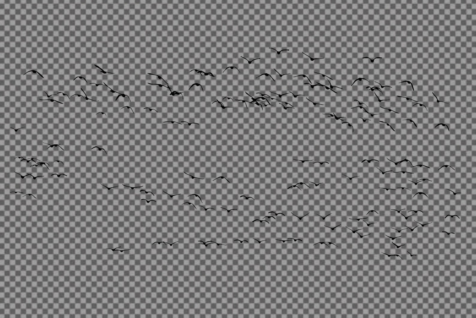 Bird Overlays, Flock of Birds, PNG Transparent Background, Photoshop ...