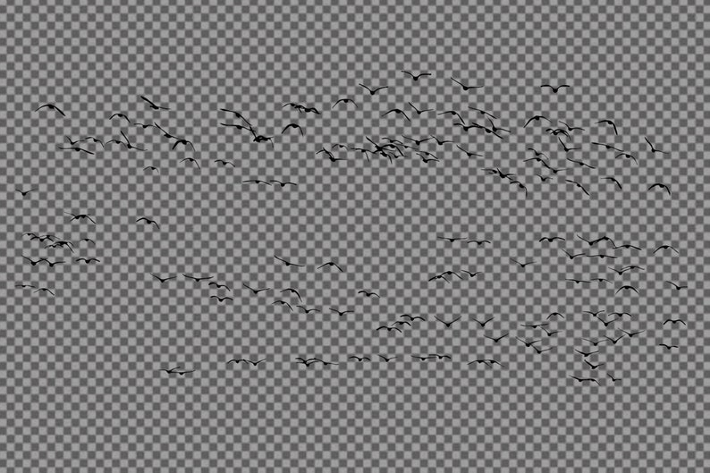 Bird Overlays, Flock of Birds, PNG Transparent Background, Photoshop ...