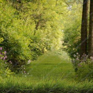 20 PNG Grass Overlays, Transparent Background, Real Grass Overlays ...