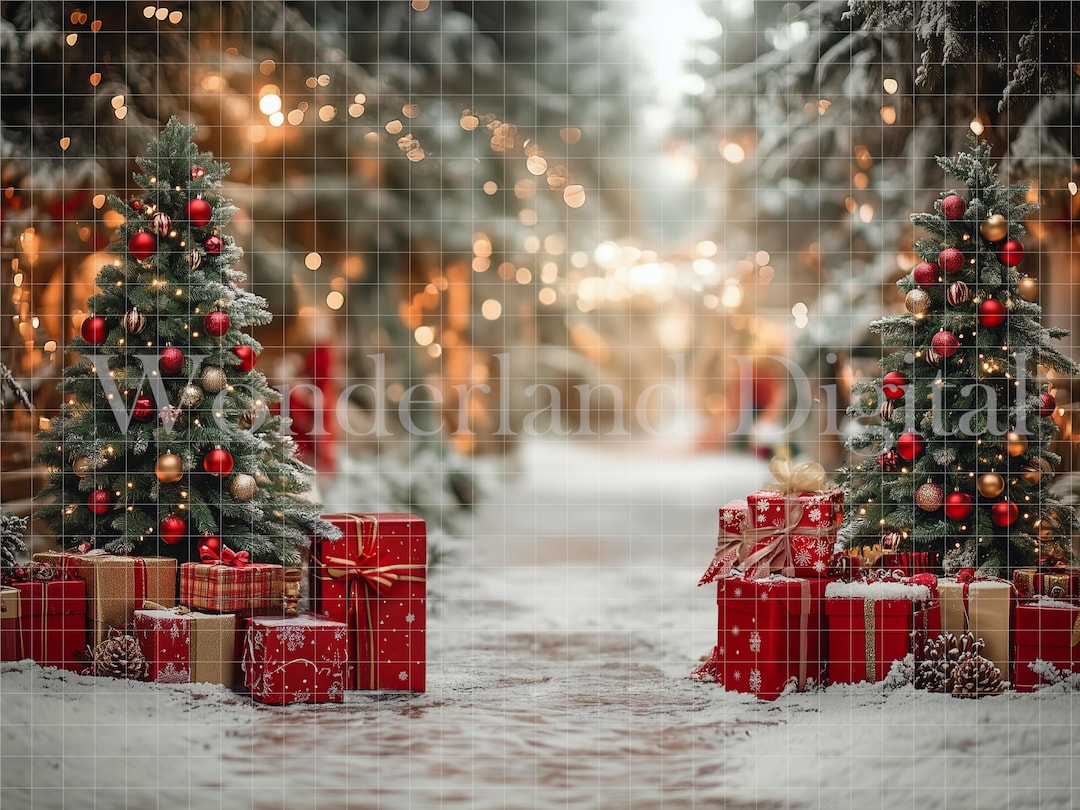 Christmas Digital Background for Photography - Winter Path With ...
