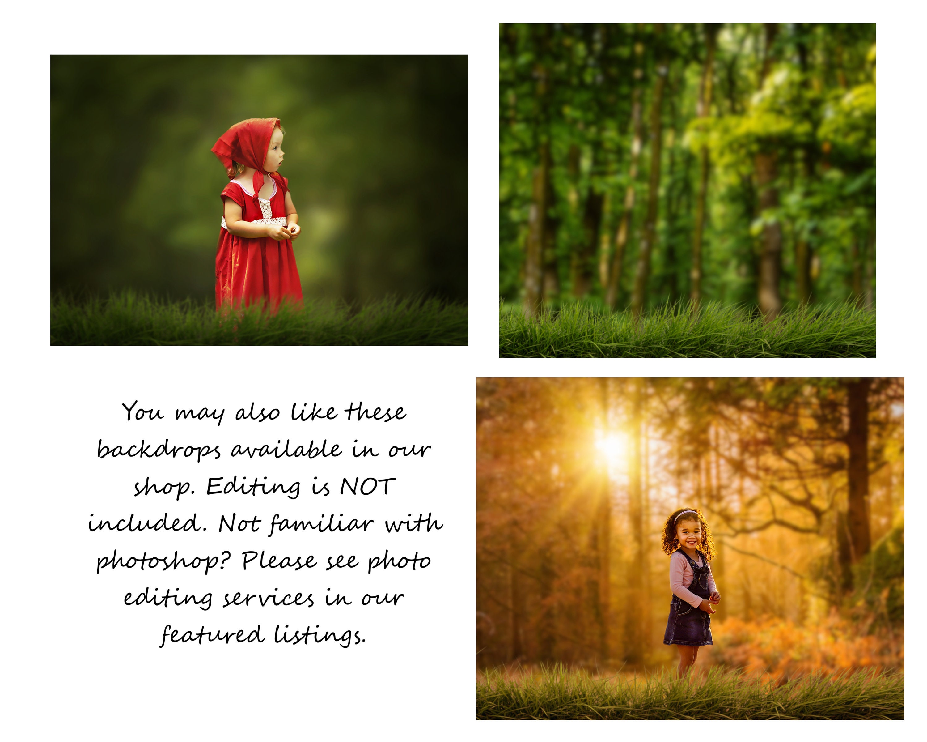 Forest Path Digital Backdrop/Background Layered PSD with Grass Overlay ...