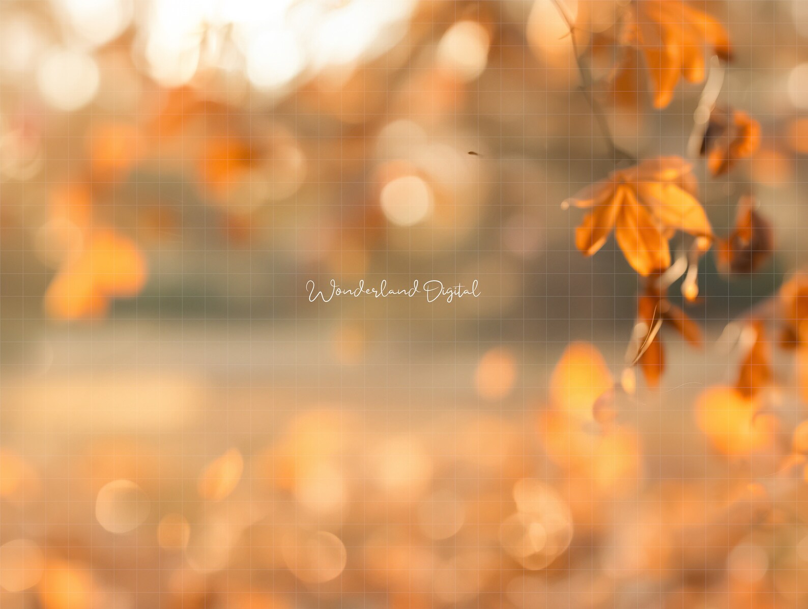 Fall Digital Backdrop, Autumn Photography Backdrop, Falling Leaves ...