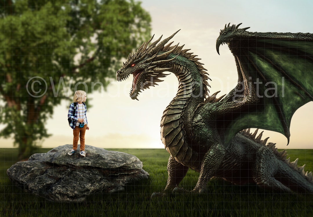 Dragon Digital Backdrop/background - Etsy