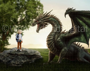 Slaying a Dragon Digital Backdrop Mythical Creatures Digital Background ...