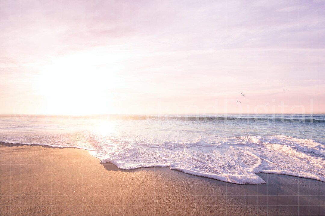 Beach Landscape Digital Background, High Quality Digital Backdrop ...