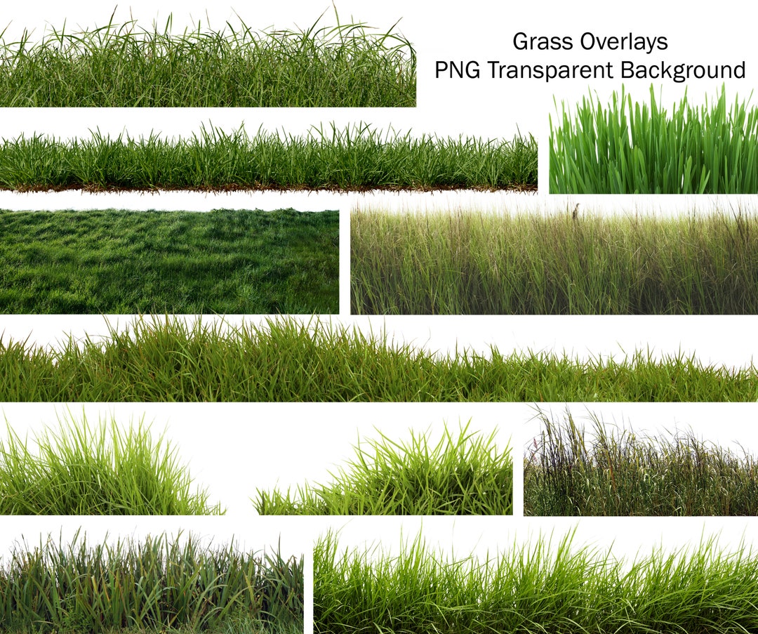 20 PNG Grass Overlays, Transparent Background, Real Grass Overlays ...