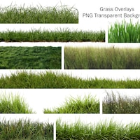 80 Dry Grass Photo Overlays for Photoshop, Grass, Landscape, Dead Grass ...