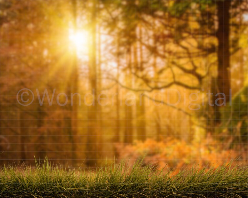 Digital Backdrop/background, Autumn Forest Background With Grass ...
