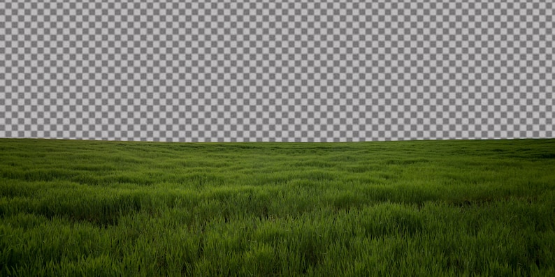 20 PNG Grass Overlays, Transparent Background, Real Grass Overlays ...