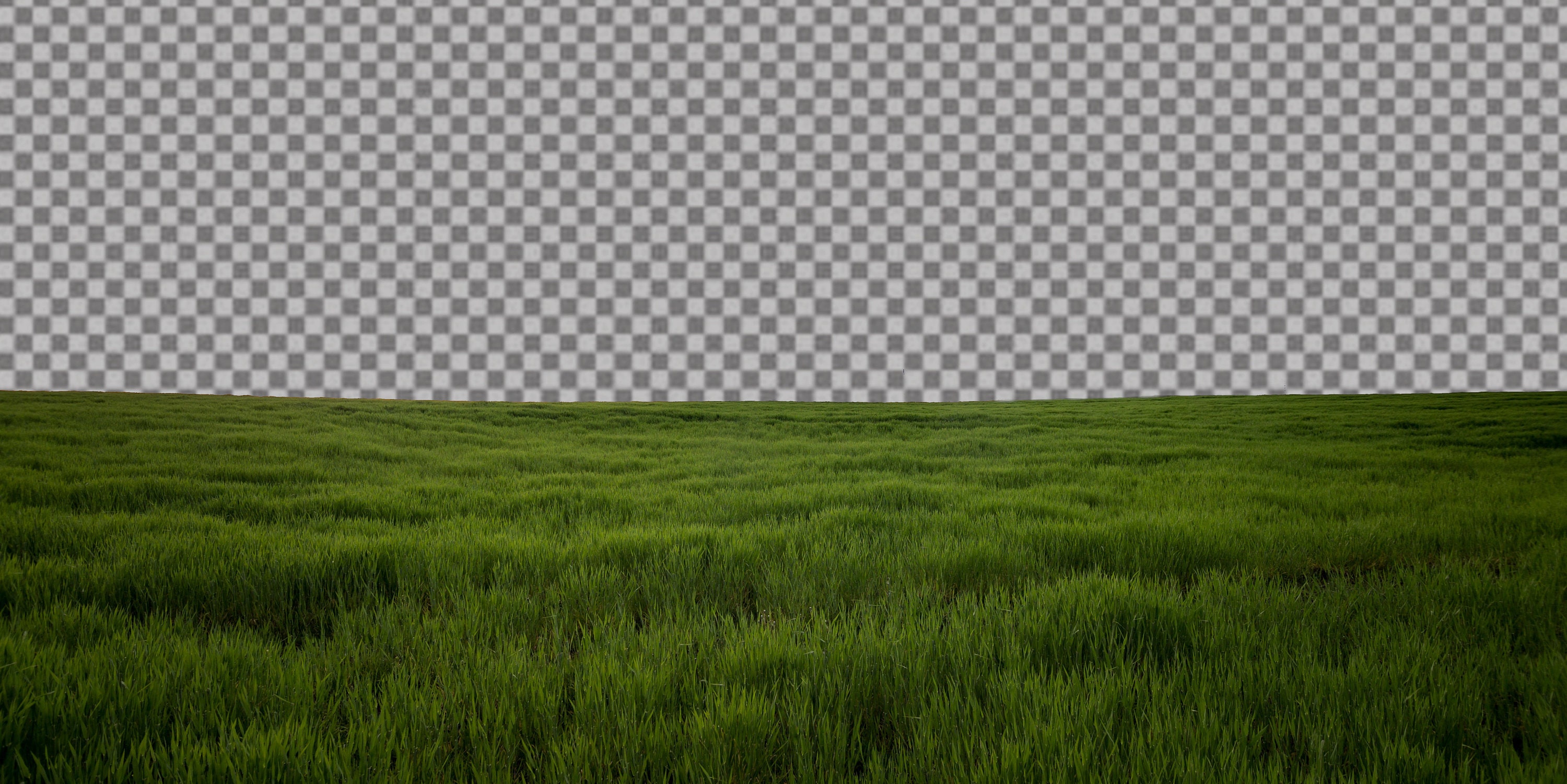 20 PNG Grass Overlays Transparent Background Real Grass - Etsy UK