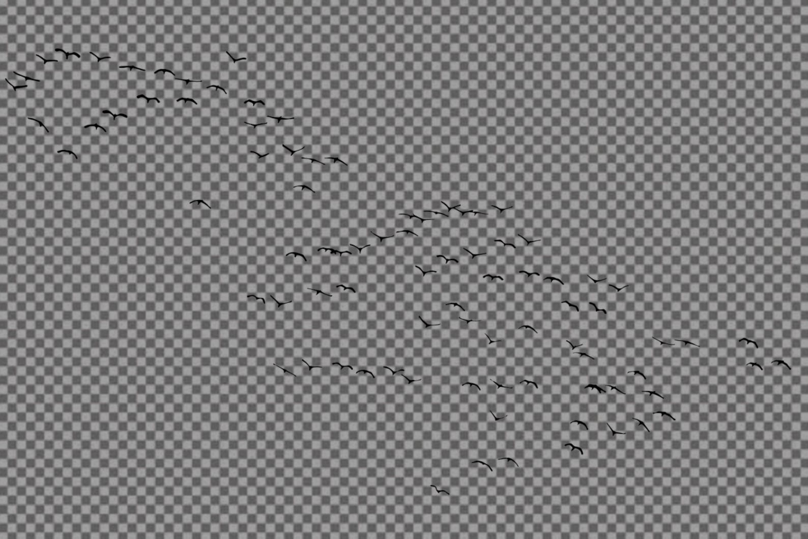 Bird Overlays Flock of Birds PNG Transparent Background - Etsy