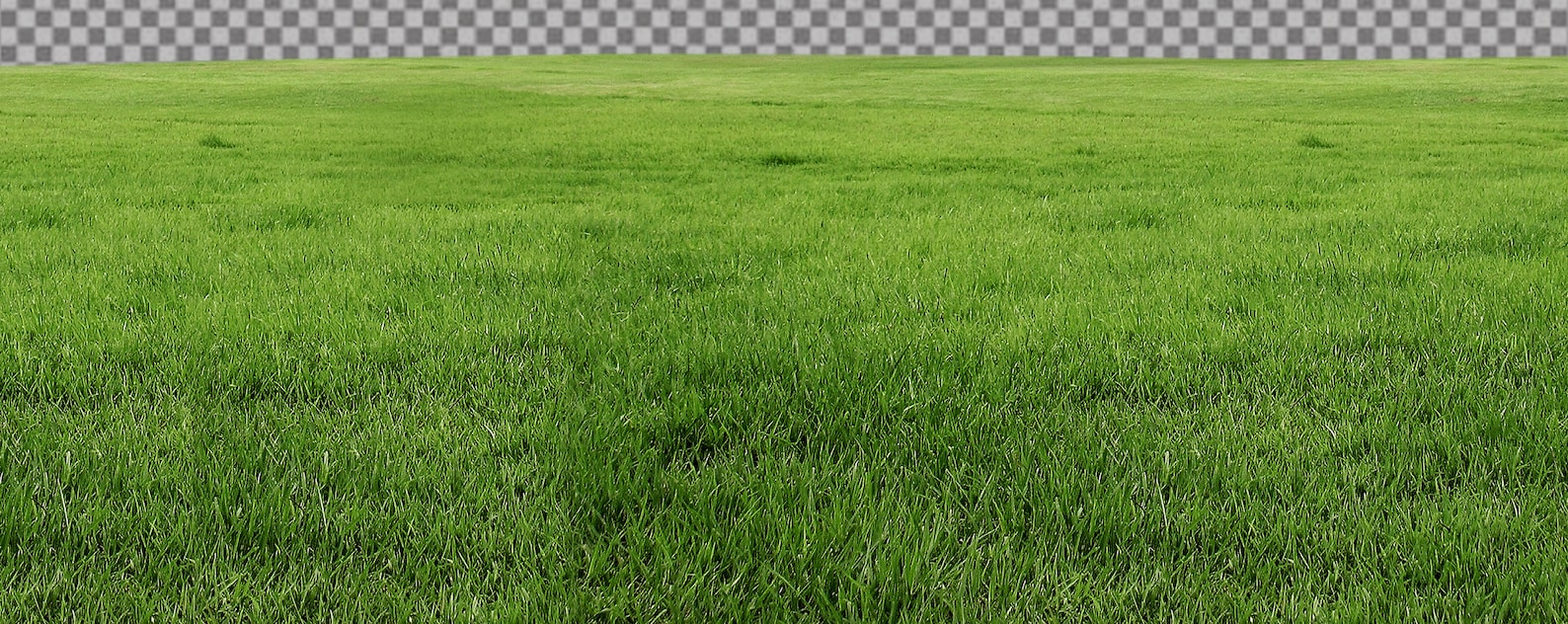 20 PNG Grass Overlays, Transparent Background, Real Grass Overlays ...