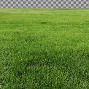 20 PNG Grass Overlays, Transparent Background, Real Grass Overlays ...