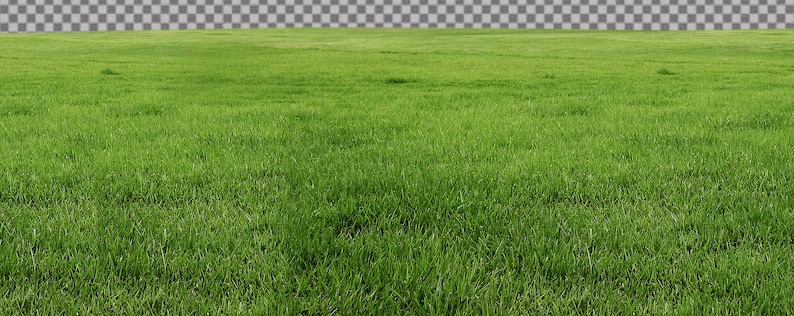 20 PNG Grass Overlays, Transparent Background, Real Grass Overlays ...
