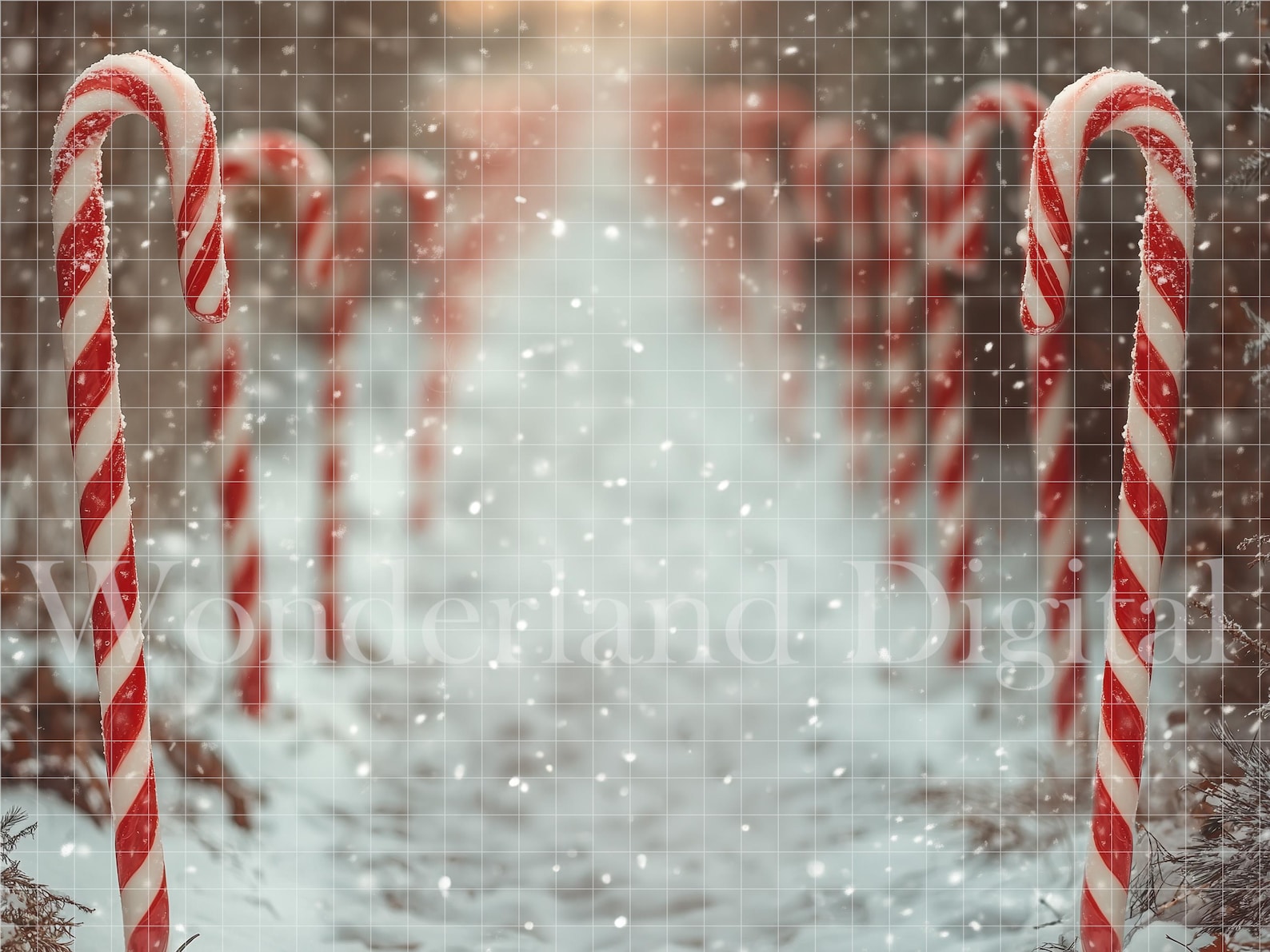 Christmas Candy Cane Digital Backdrop - Christmas Digital Background ...