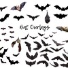 Black Bat Twitch Stream Pack | Purple Twitch Screen Overlay | Twitch ...