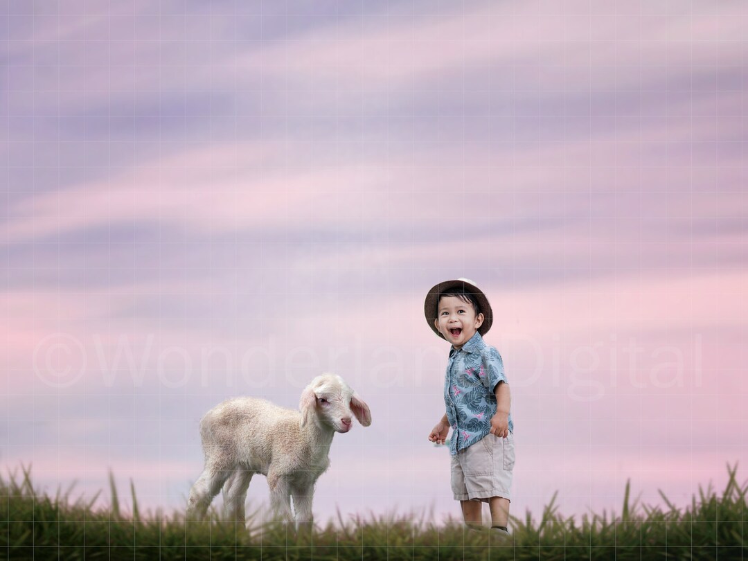 Lamb Digital Backdrop Layered PSD With Grass Overlay, Lamb Ovelay ...