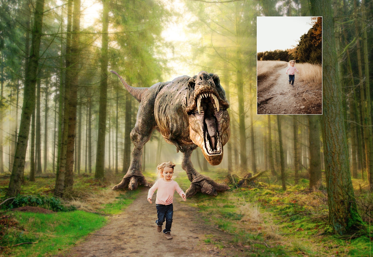 Photo Editing Background Change Photoshop Editing Digital - Etsy