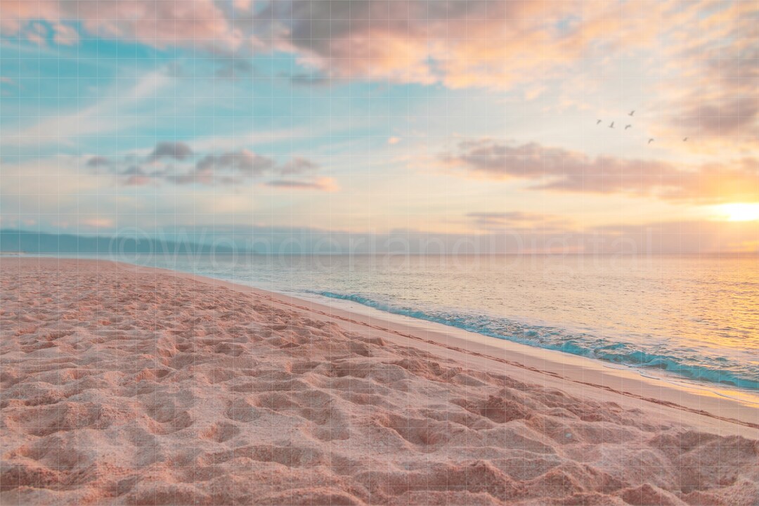 Beach Digital Backdrop, Sandy Beach at Sunset With Flock of Birds ...