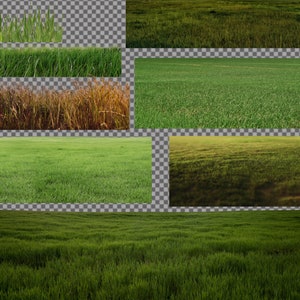 20 PNG Grass Overlays, Transparent Background, Real Grass Overlays ...