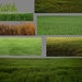 20 PNG Grass Overlays, Transparent Background, Real Grass Overlays ...
