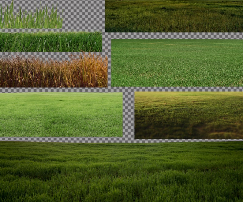 20 PNG Grass Overlays, Transparent Background, Real Grass Overlays ...