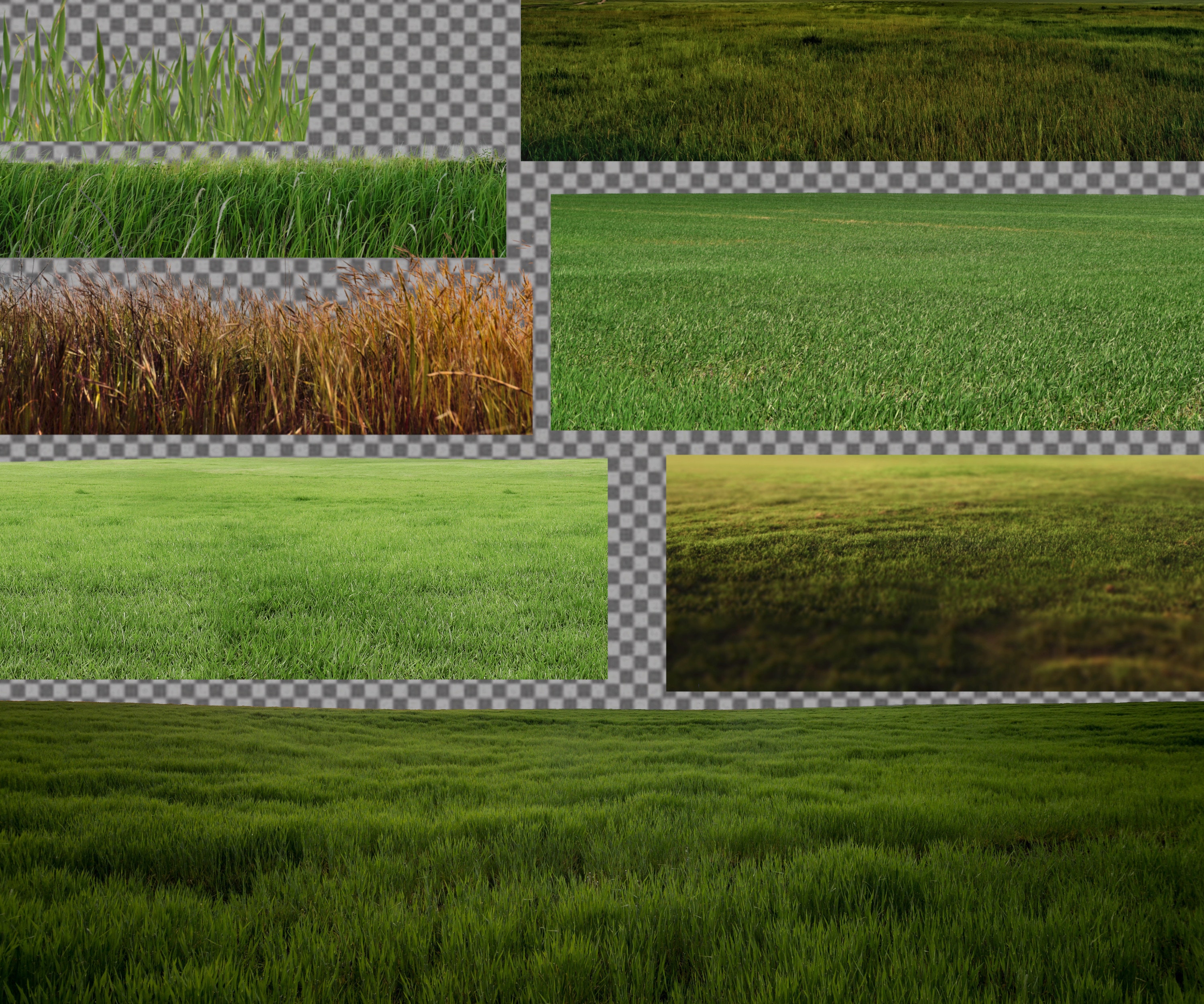 20 PNG Grass Overlays Transparent Background Real Grass - Etsy Australia