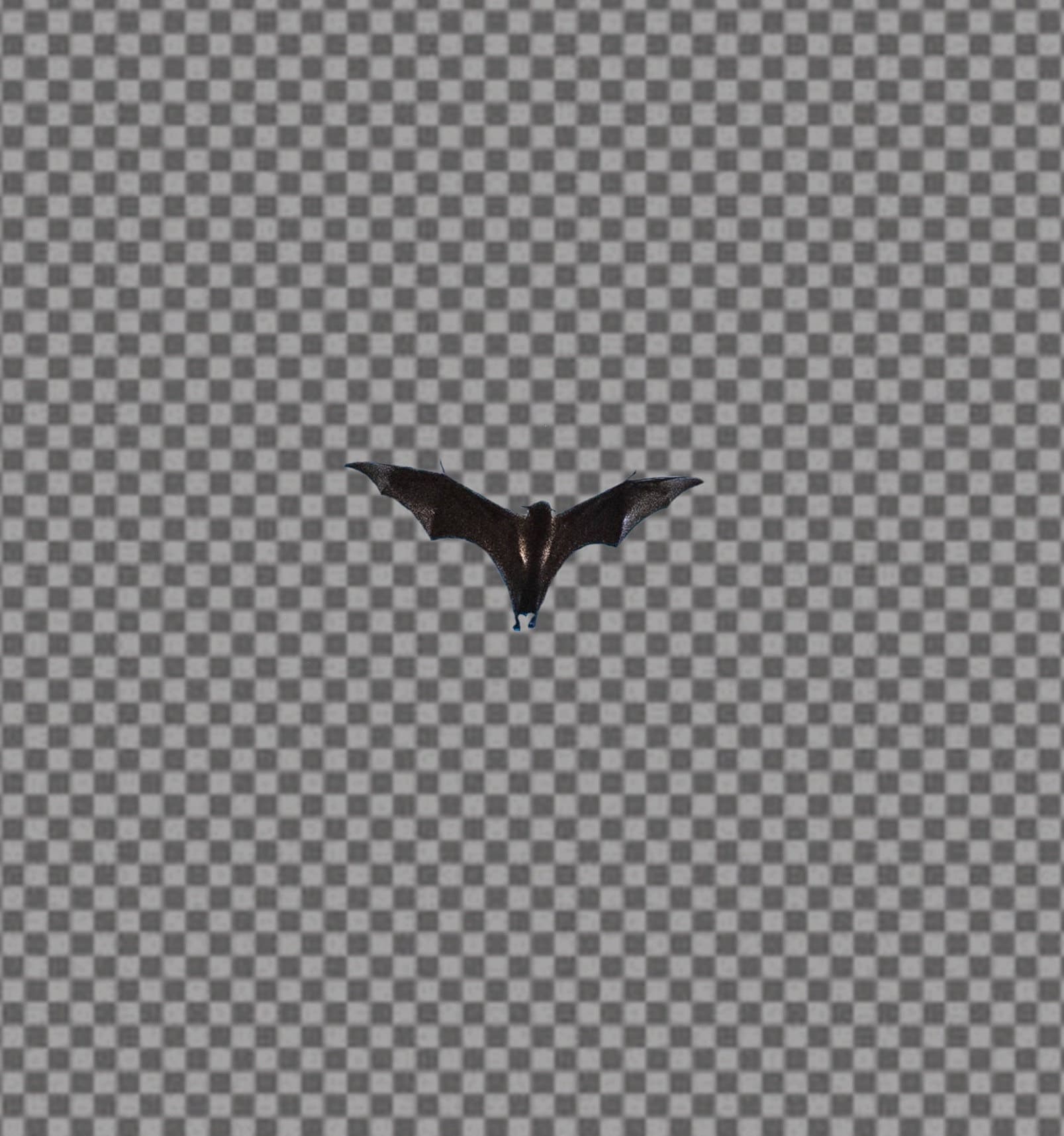 Bat Overlays PNG Real Bat Overlays Flying Bats Bat - Etsy UK