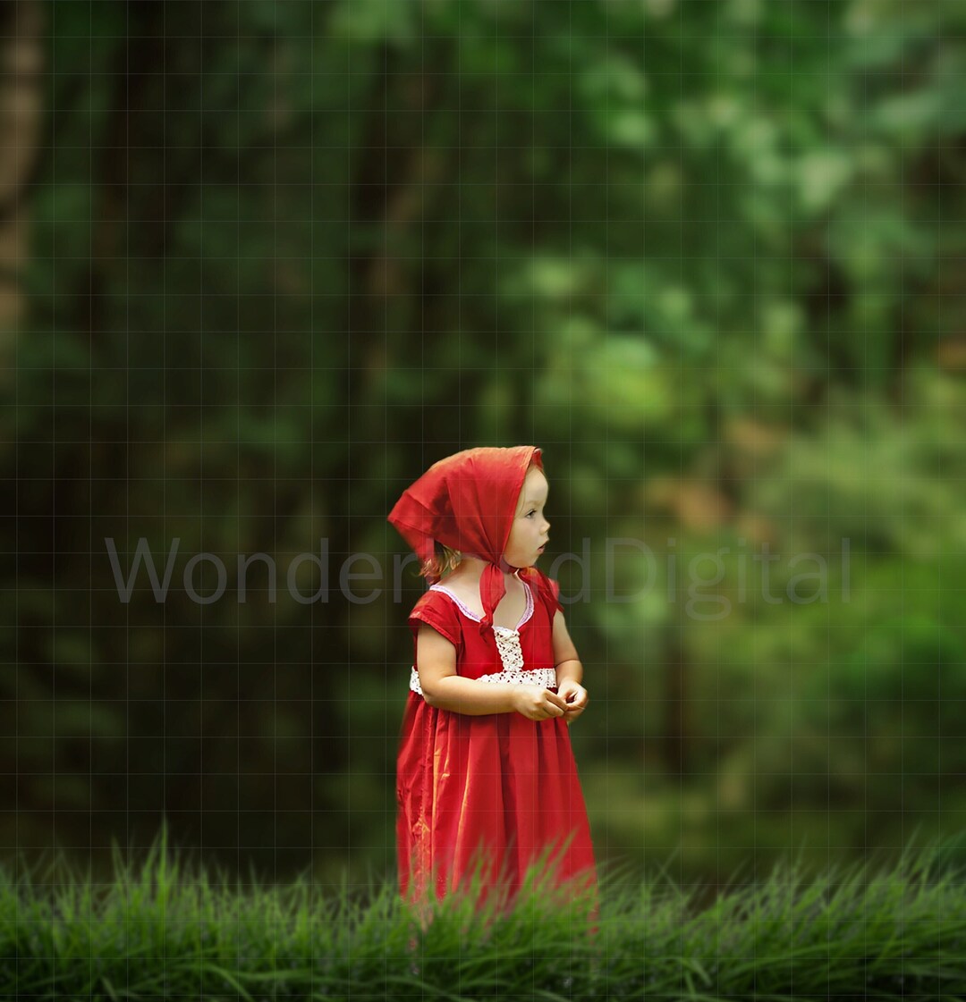 Forest Digital Backdrop/background With Grass Overlay - Etsy