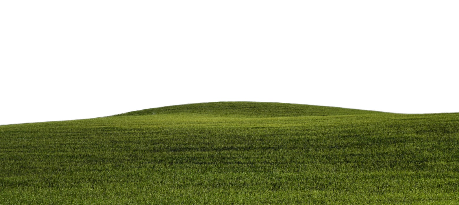 20 PNG Grass Overlays, Transparent Background, Real Grass Overlays ...